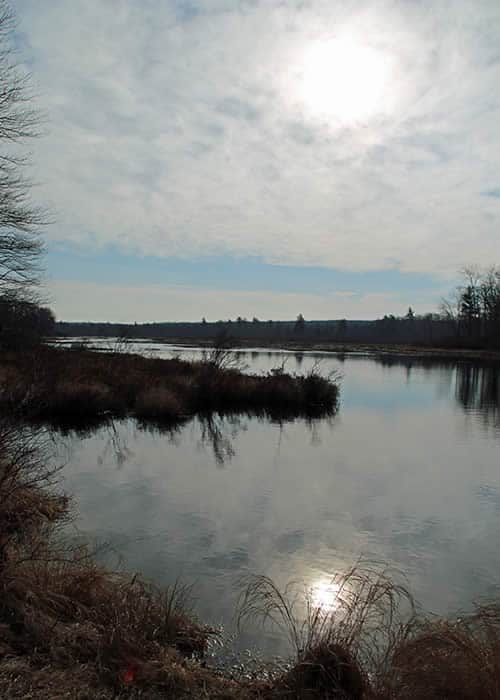 Bruce Lake Natural Area - Brodhead Watershed Association